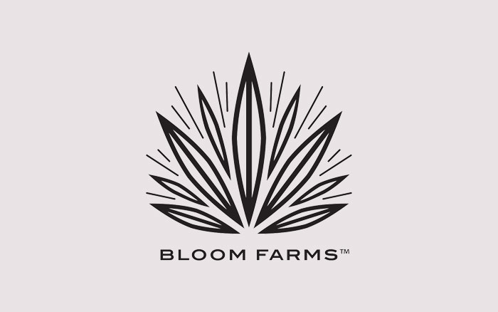33 Cannabis Logo Designs Shaping the Industry | KindTyme