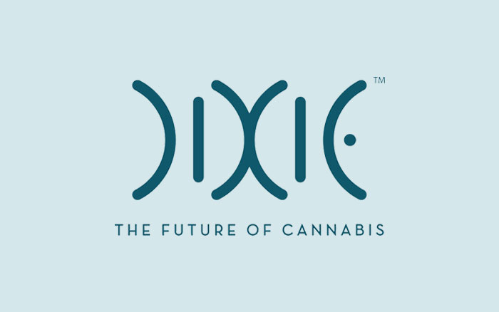 33 Cannabis Logo Designs Shaping the Industry | KindTyme