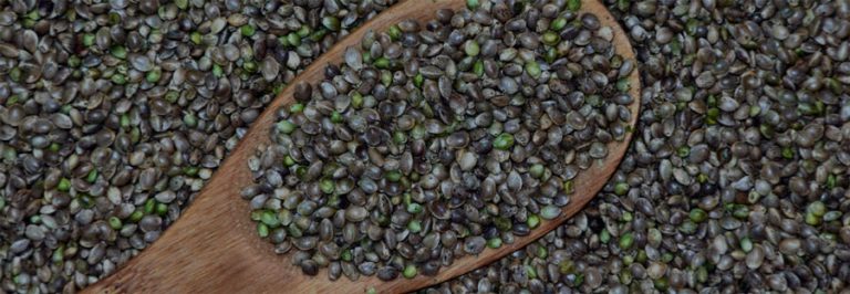 13 Cannabis Software Tools to Boost Dispensary Sales