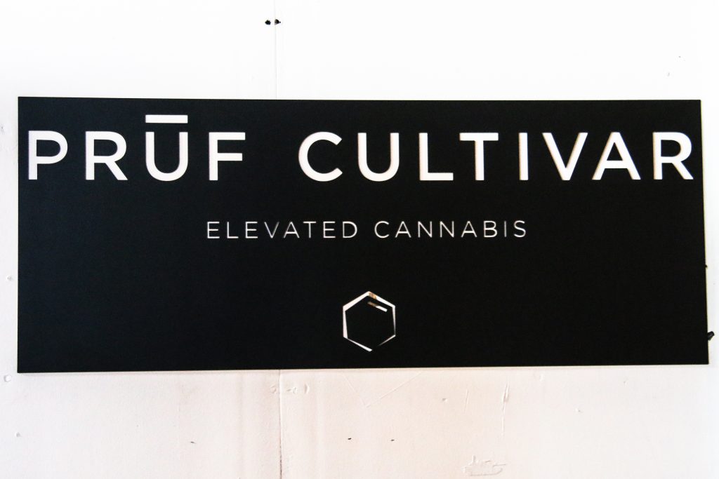 Summer Fair 2016 - A Review of Portland's Free Cannabis Event